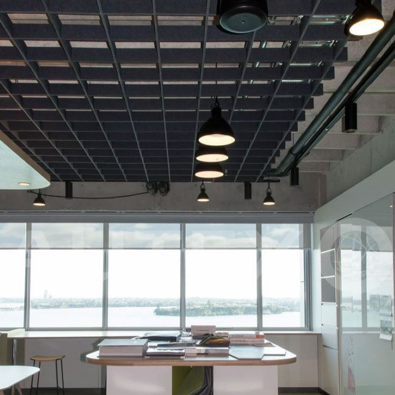 Autex | Frontier™ Axis Acoustic Ceiling Baffle (Pack of 16) – Muffle ...