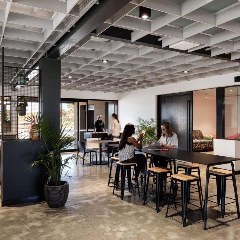 Autex | Frontier™ Axis Acoustic Ceiling Baffle (Pack of 16) – Muffle ...