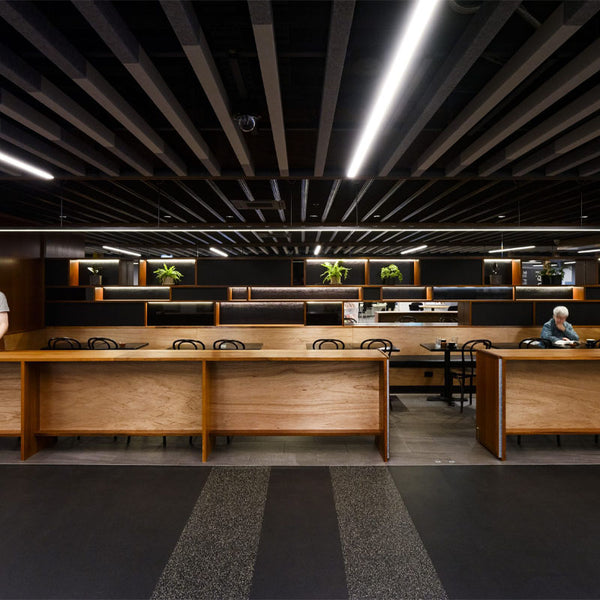 Autex | Frontier™ Beam Acoustic Ceiling Baffle (Sold in Packs) – Muffle ...